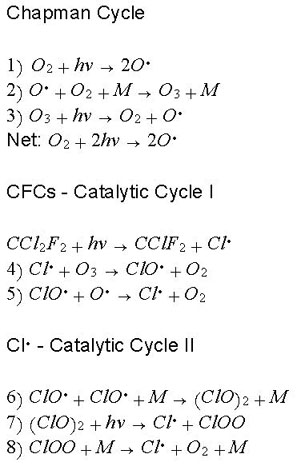 Ozone Depletion Web Module